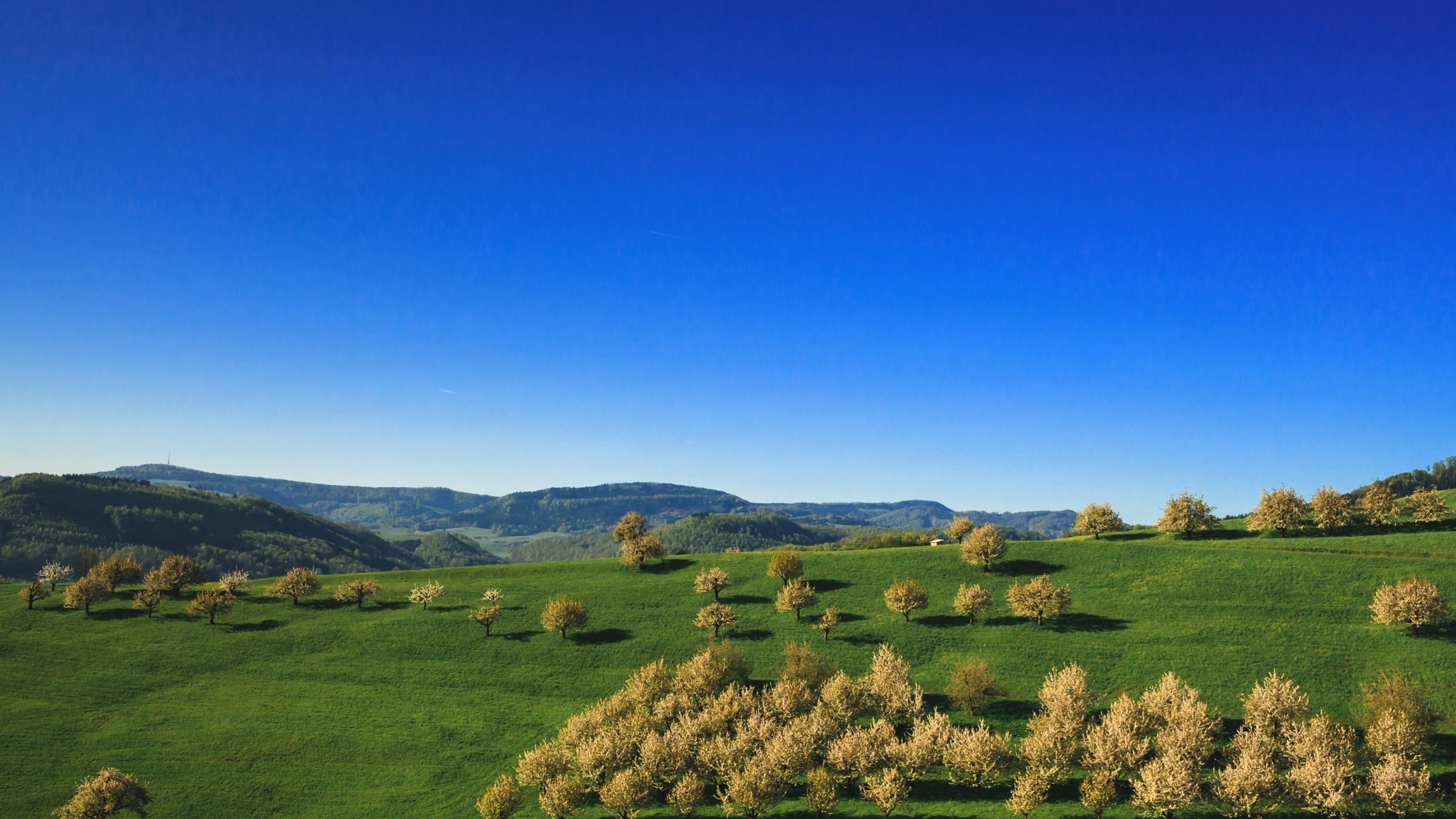 Alle Agenturen | Swiss Life